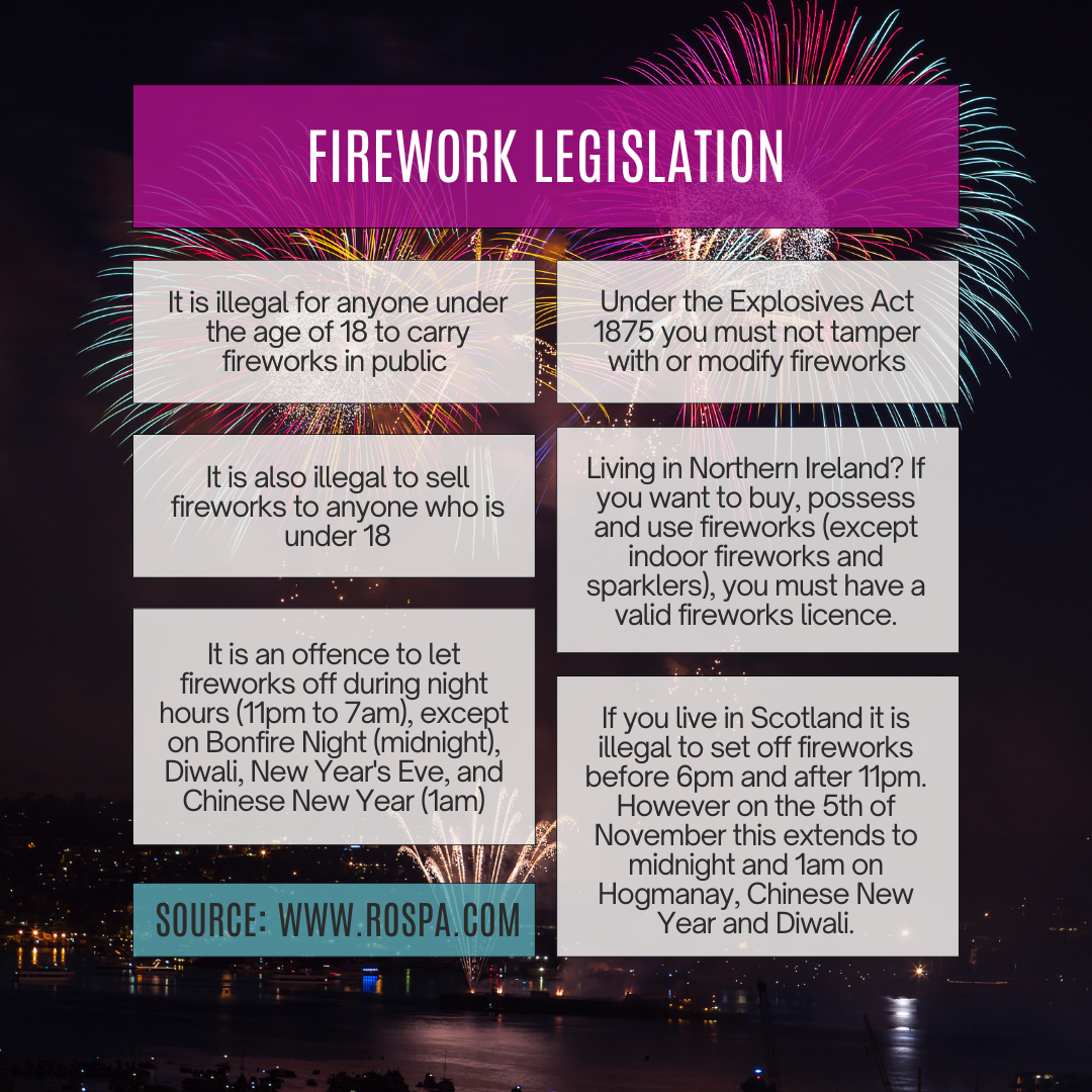 Hosting a Spectacular Bonfire Party for Guy Fawkes Night - Inspired ...